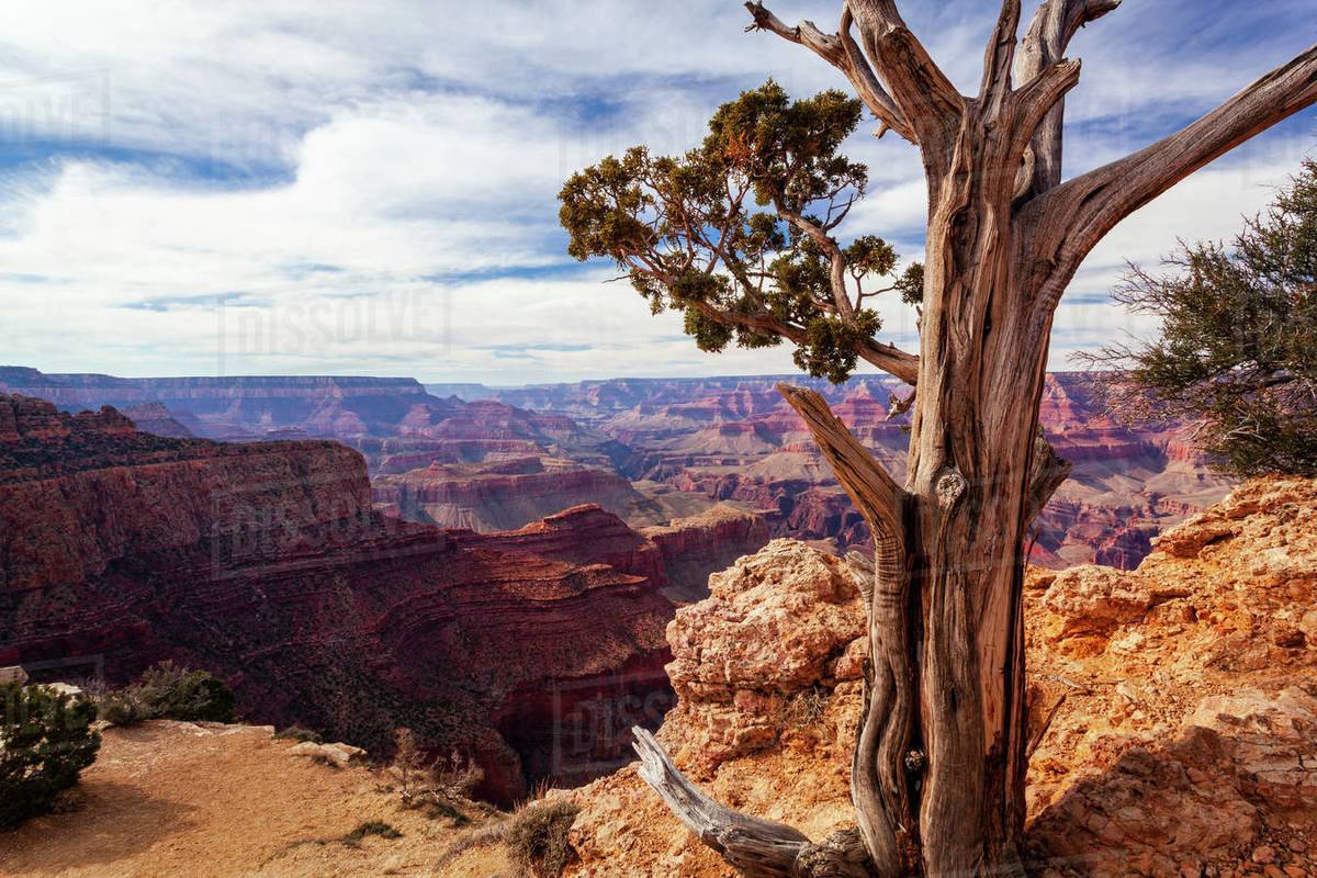 Moran Point at the Grand Canyon; Arizona, United States of America ...