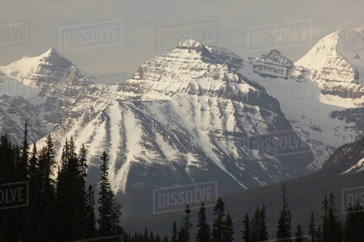 Temple Mountain, Banff National Park, Alberta, Canada - Stock Photo ...