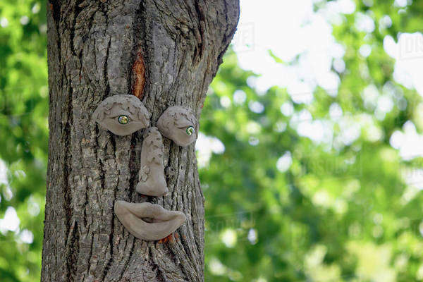 Tree Trunk With Eyes, Nose, And Mouth, Burlington, Ontario. - Royalty ...