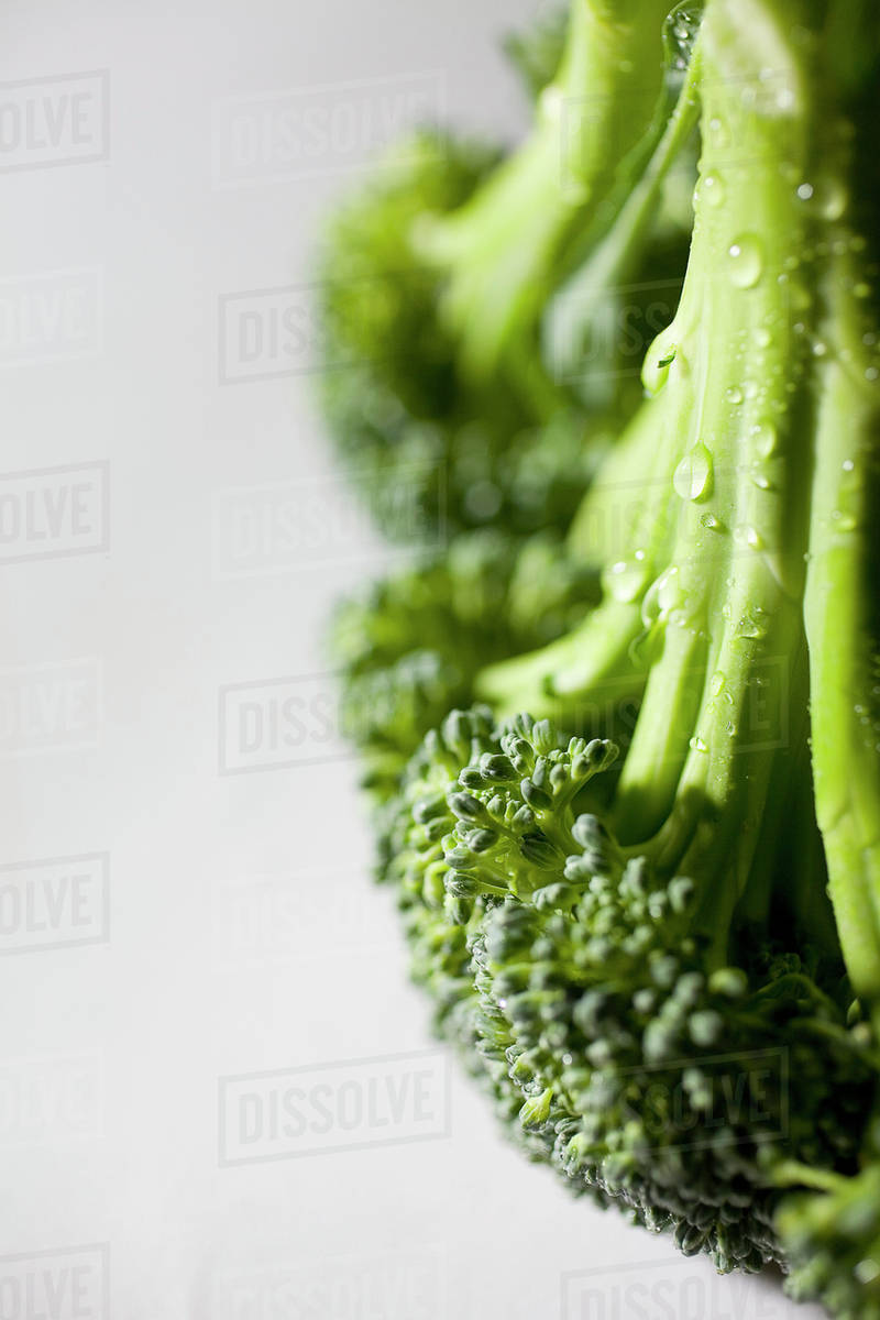 Close-Up Of Section Of Broccoli - Stock Photo - Dissolve