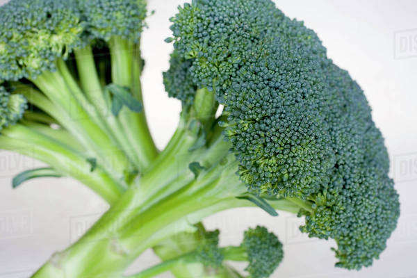 Two Bunches Of Broccoli - Royalty-free Stock Photo | Dissolve
