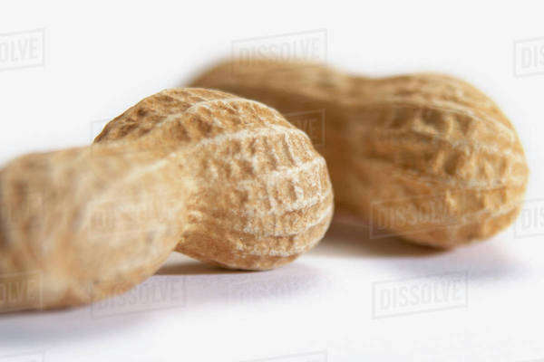 Two Peanuts On A White Background - Stock Photo - Dissolve