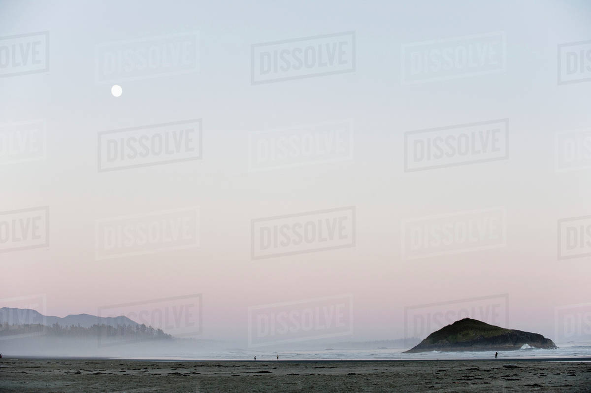 Mist On The Beach At Sunset; Tofino, British Columbia, Canada - Royalty ...