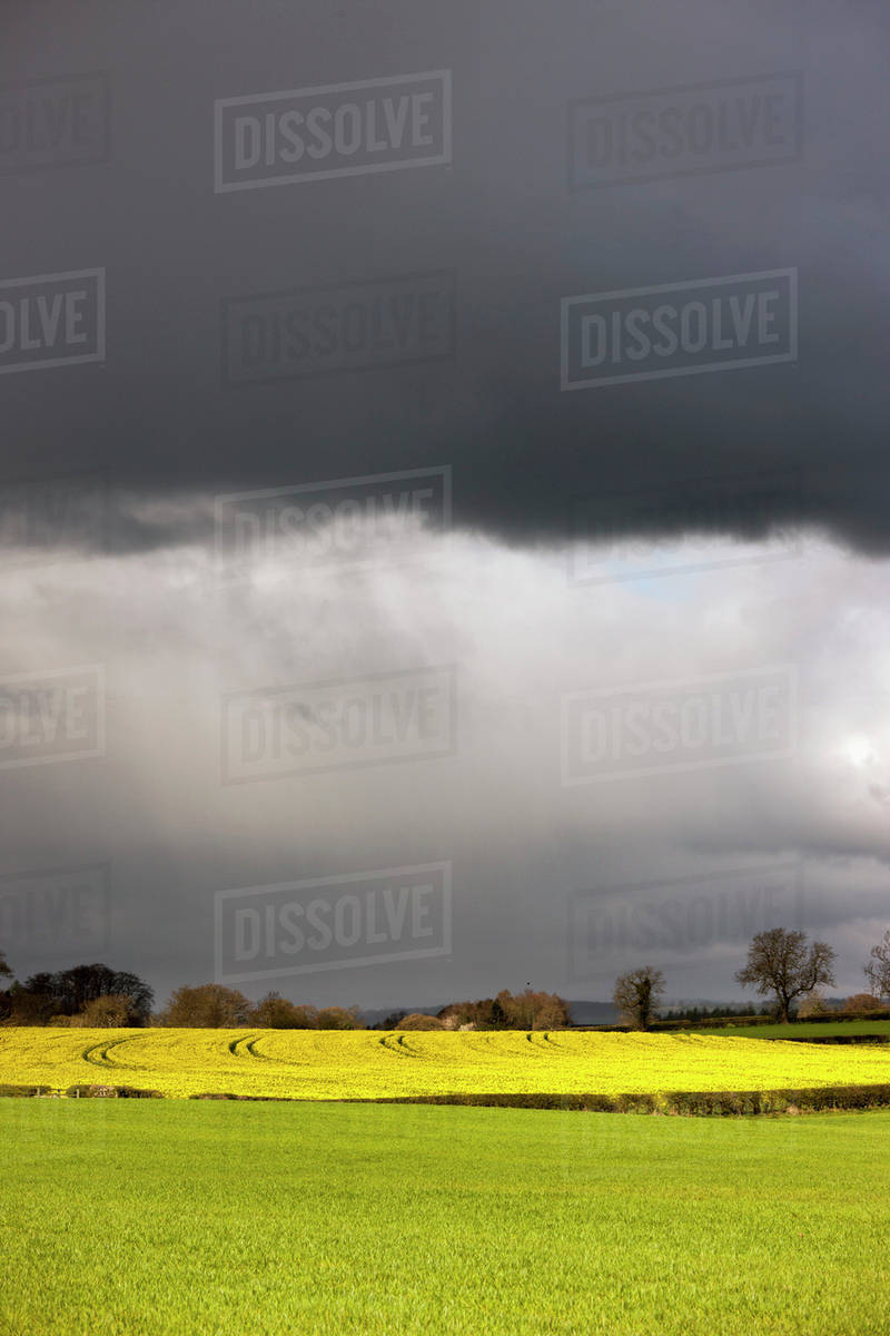 Dark Storm Clouds Over Farmland; Yorkshire, England - Royalty-free ...