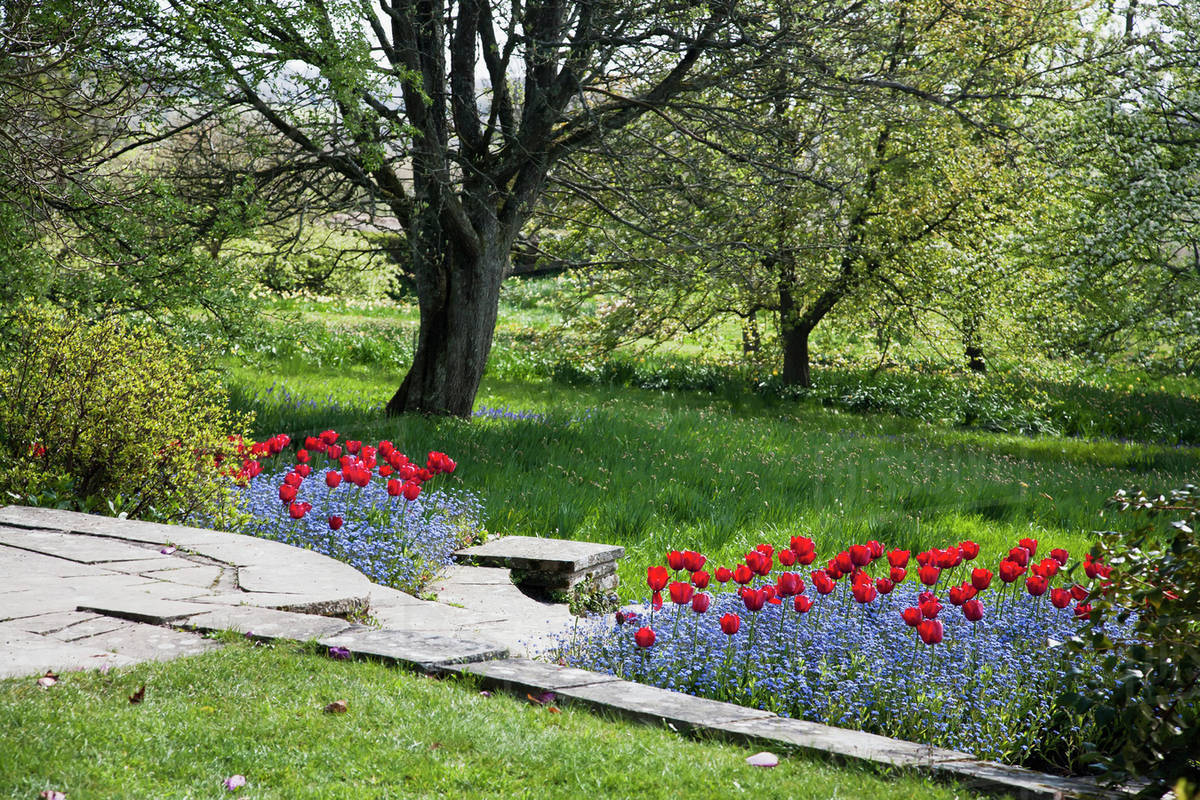 A stone path with a meadow and blossoming flowers at springtime ...