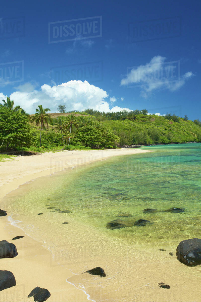 Black rocks scattered on a beach along the coastline of an hawaiian ...