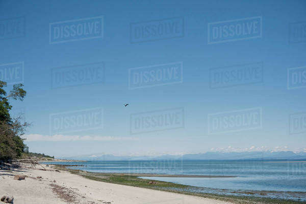 Kin Beach Provincial Park; British Columbia Canada - Royalty-free Stock ...