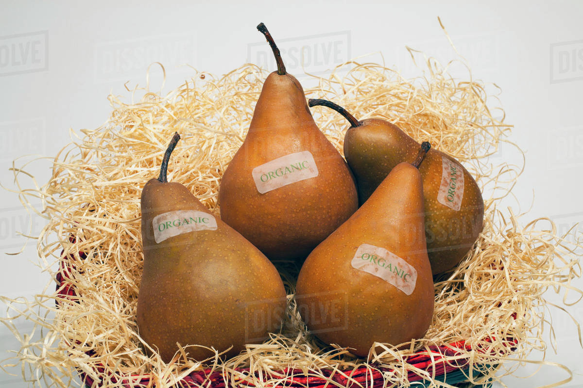 Bosch Pears In A Basket With Organic Labels; Waterloo, Quebec, Canada ...