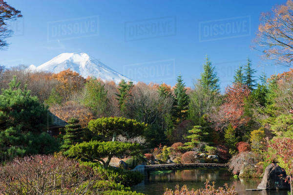 View Of Mount Fuji From A Garden; Japan - Stock Photo - Dissolve