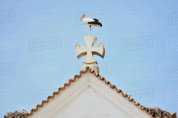 A Stork Sitting On A Cross On The Apex Of The Roof Of A Church; Faro ...