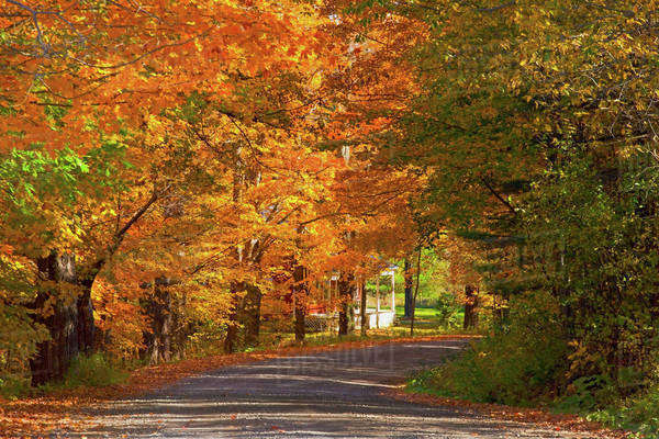 Country Road In Autumn Colours; West Bolton, Quebec, Canada - Stock ...