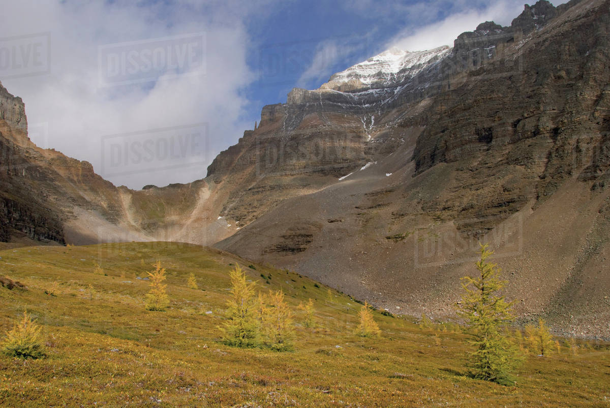 Sentinel Pass; Alberta, Canada - Royalty-free Stock Photo | Dissolve