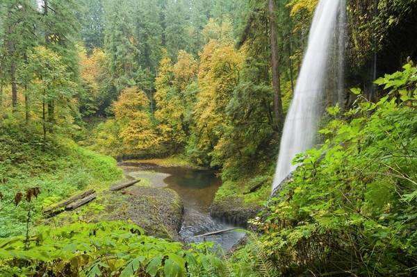 Oregon, United States Of America; Middle North Falls In The Autumn In ...