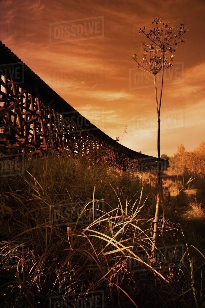 Alberta, Canada; A Train Trestle In A Sunset - Royalty-free Stock Photo ...