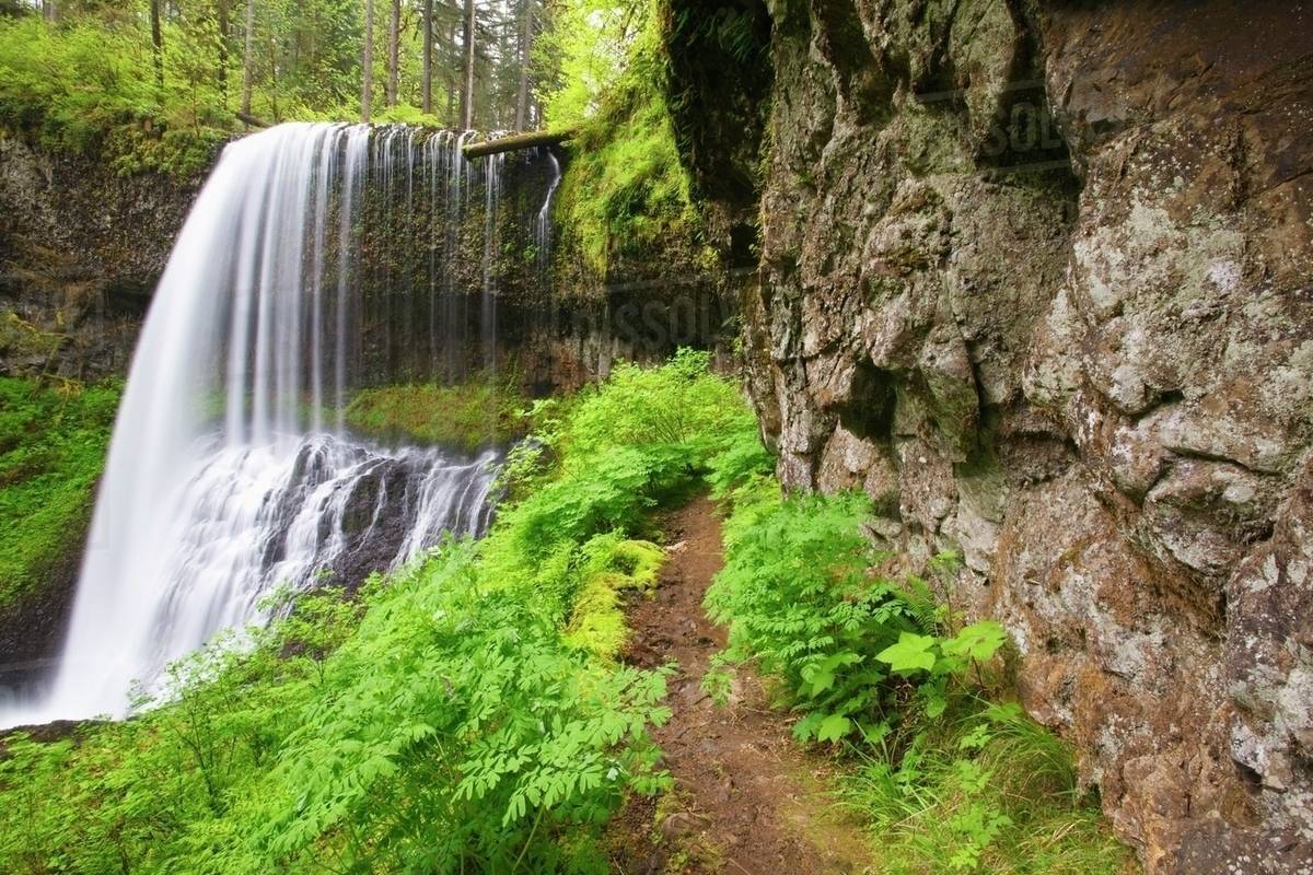 Oregon, United States Of America; North Middle Falls In Silver Falls ...