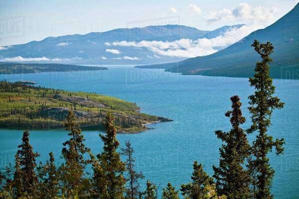 Tagish Lake And Bove Island With The Ruby And Coast Mountains In The ...