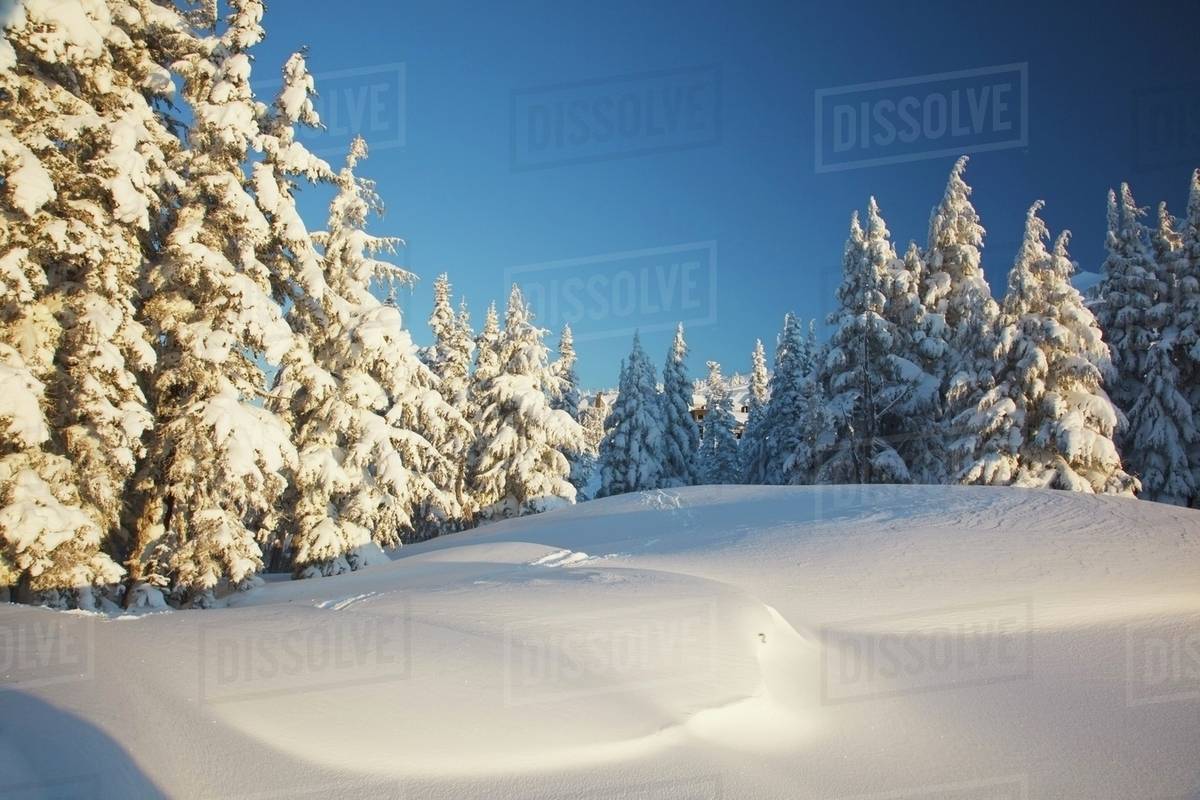 Winter Scene, Mount Hood, Oregon Cascades, Oregon, Usa - Stock Photo ...