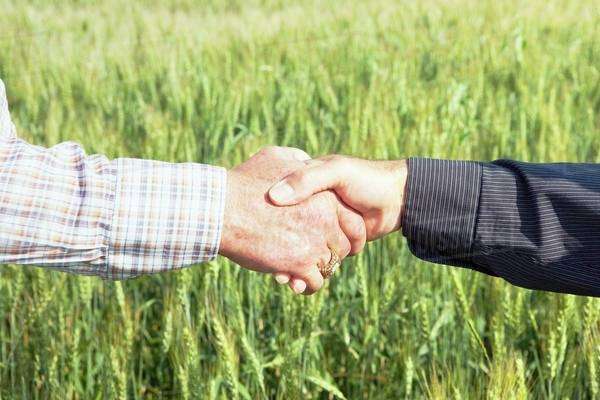 Alberta, Canada; A Handshake In A Wheat Field - Royalty-free Stock ...