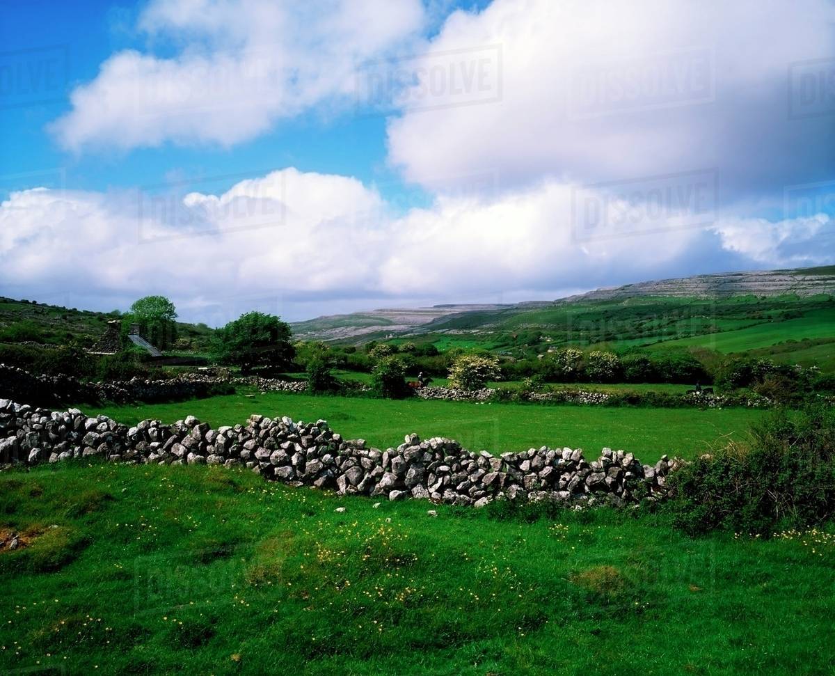 Meadows Near Fanore, Burren, Co Clare, Ireland - Stock Photo - Dissolve