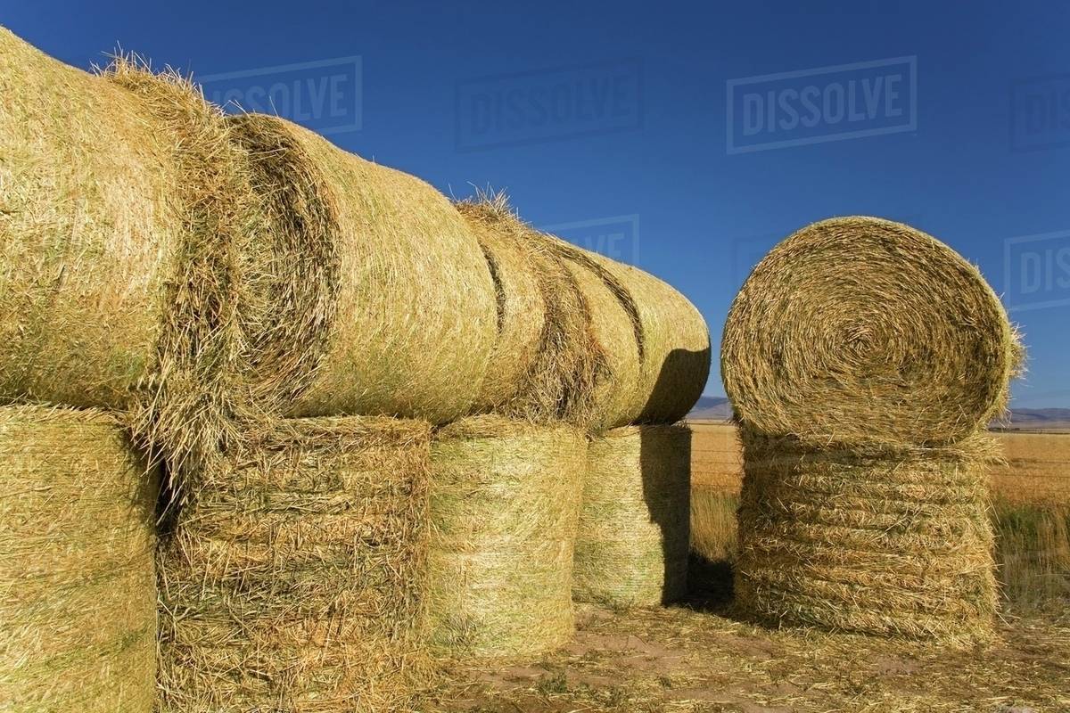 Hay Bales - Stock Photo - Dissolve