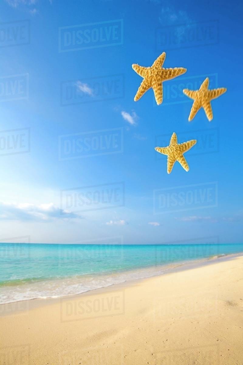 Starfish Falling In Front Of The Ocean - Royalty-free Stock Photo ...