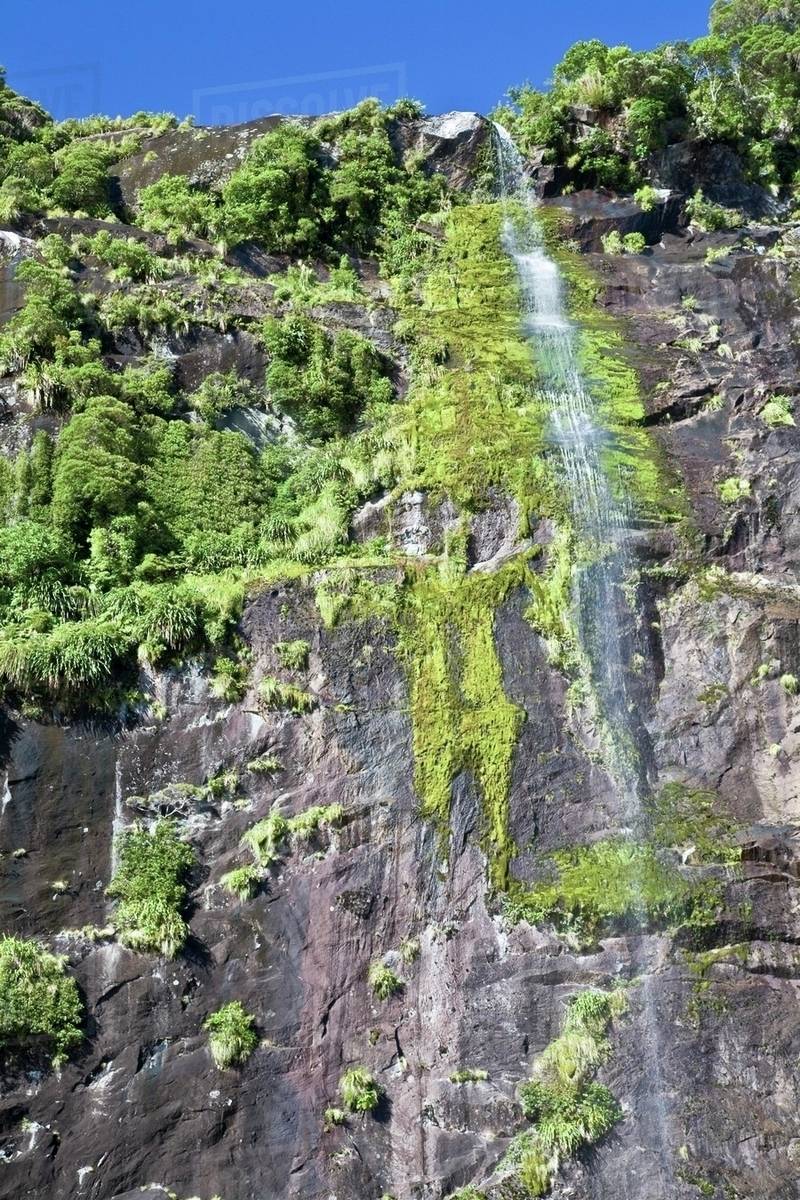 Waterfall In Milford Sound, New Zealand - Stock Photo - Dissolve