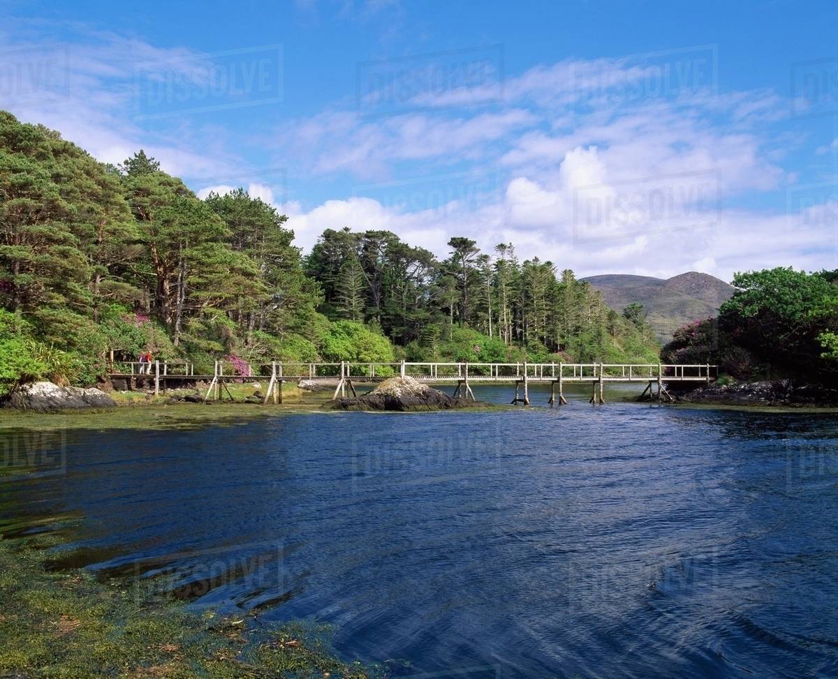 Wooden Footbridge To Island Summer; Derreen, Co Kerry, Ireland ...