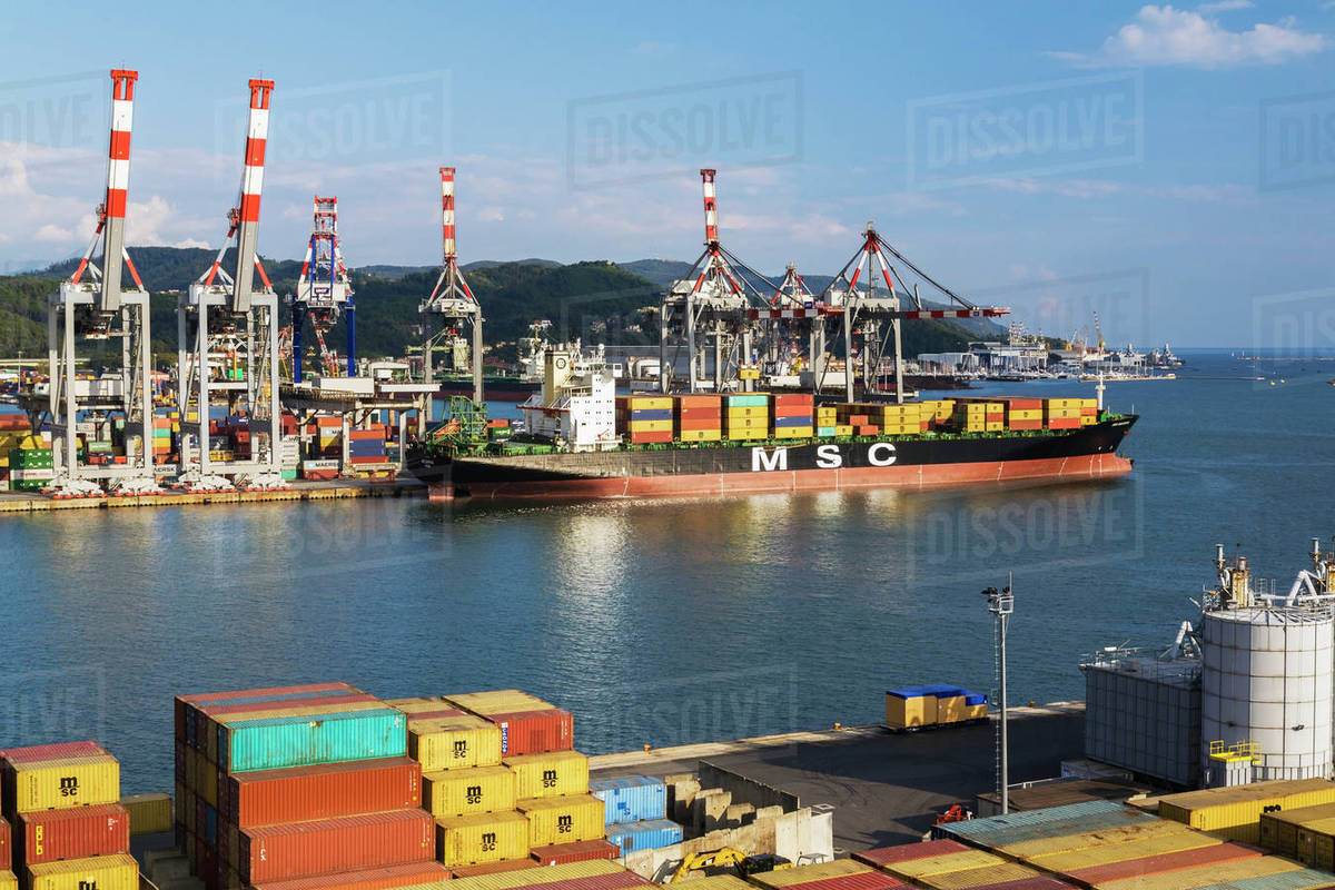 MSC Santana cargo ship and docks with gantry cranes and stacked ...