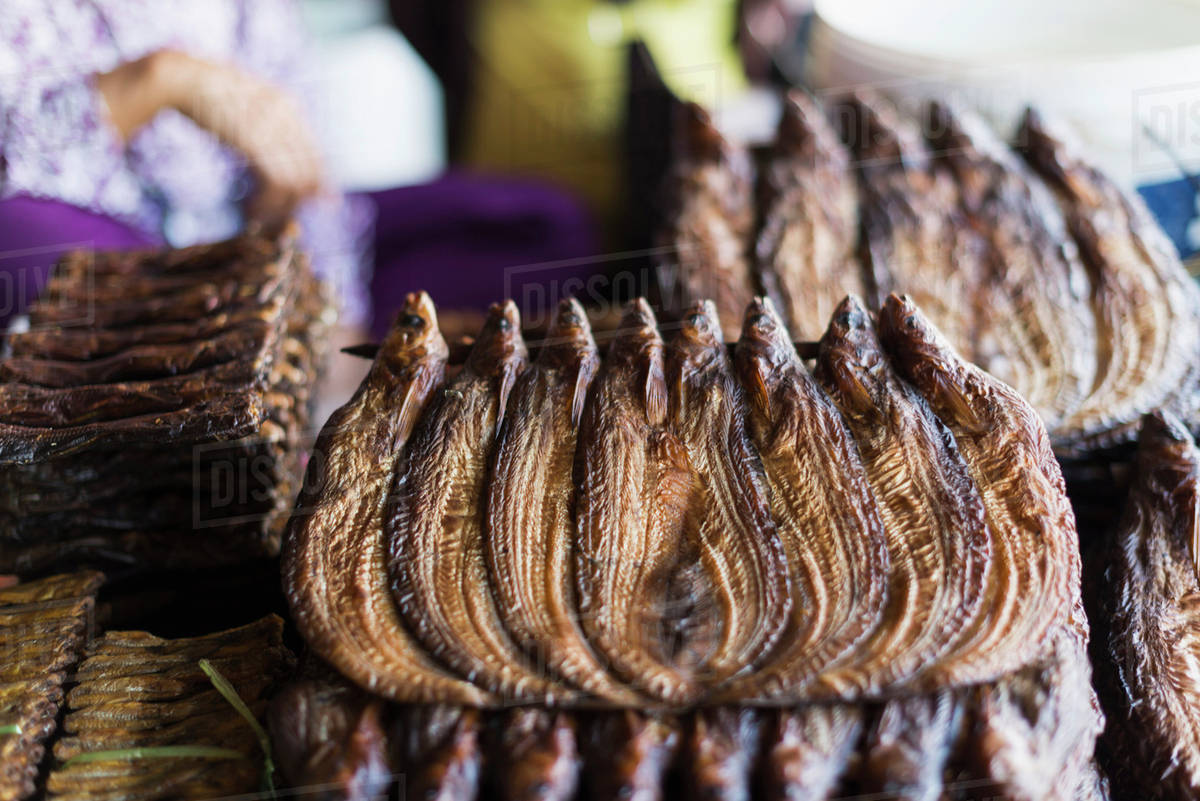 Dried fish in Battambang market; Battambang, Cambodia - Royalty-free ...