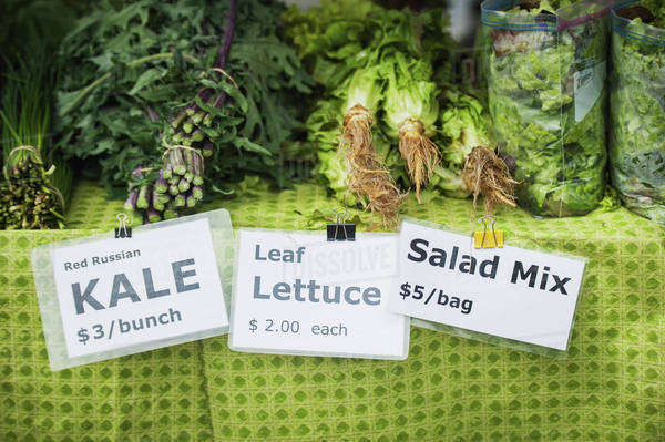 Signs for freshly harvested vegetables for sale; Palmer, Alaska, United ...
