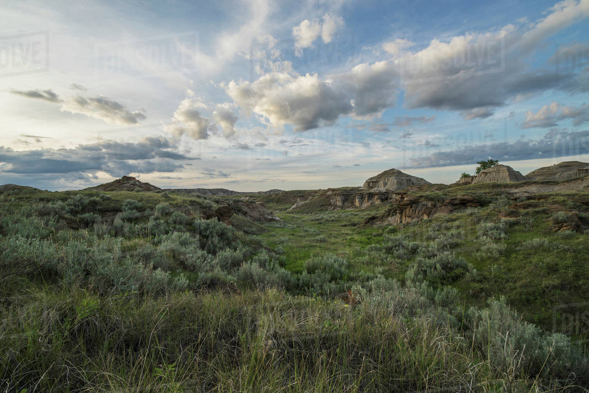 Sunset over the grasslands at Dinosaur Provincial Park; Alberta, Canada ...