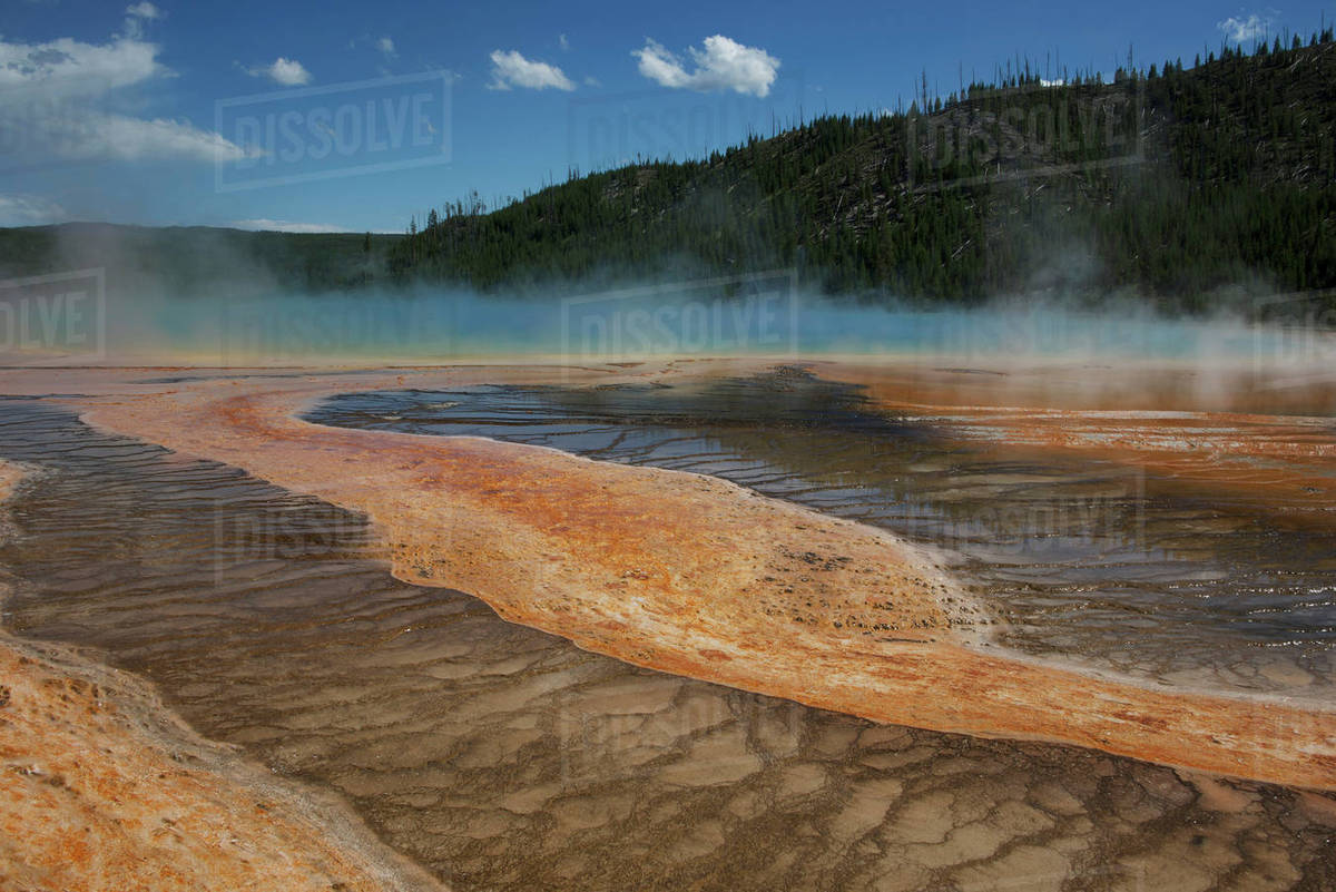 Prismatic Pools, Yellowstone National Park; Wyoming, United States Of ...
