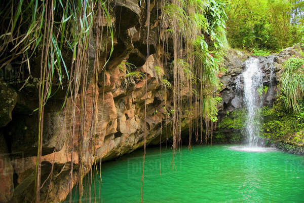 Lagoon With Small Waterfall, Annandale Falls; St. Georges, Grenada ...