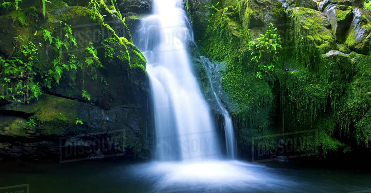 Beautiful Lush Waterfall - Stock Photo - Dissolve