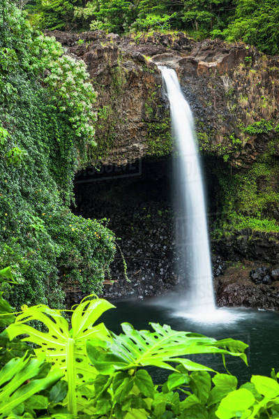 View of Rainbow Falls with tropical plants, Wailuku River State Park ...