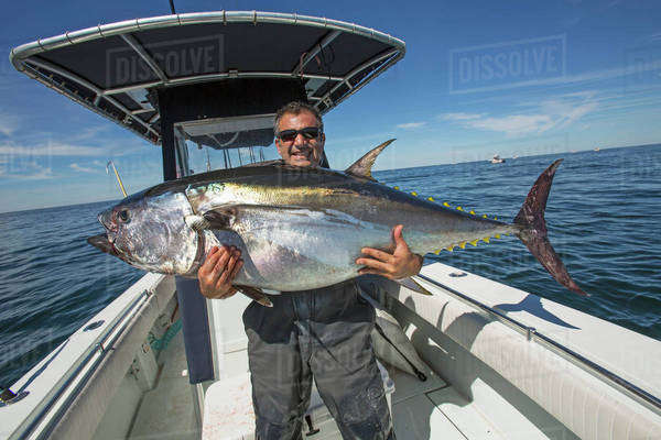 Blue fin tuna caught off the Atlantic coast; Massachusetts, United ...