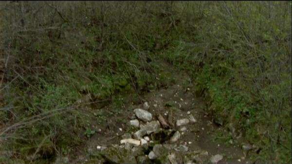 Wide shot of the hibernacula of red-sided garter snakes - HD Royalty ...