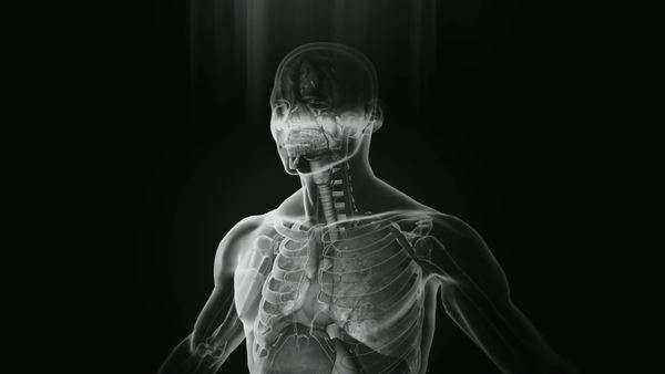 X-Ray of the human body, 3D simulation - Stock Video Footage - Dissolve
