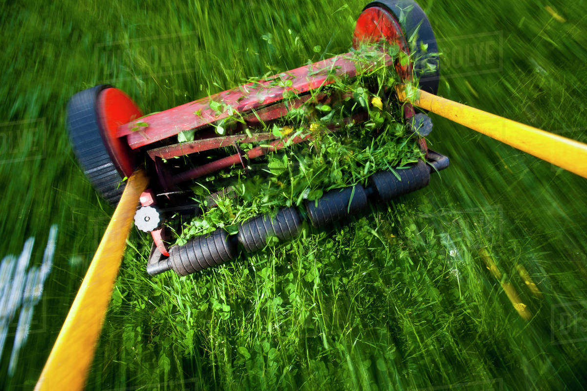 High angle view of lawn mower cutting grass - Stock Photo - Dissolve