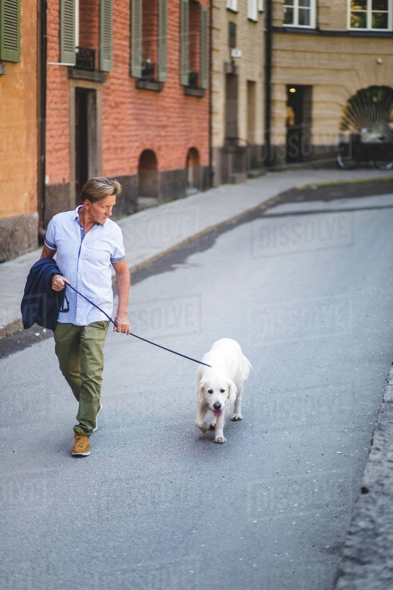 Full length of senior man walking with dog on road by buildings in city ...