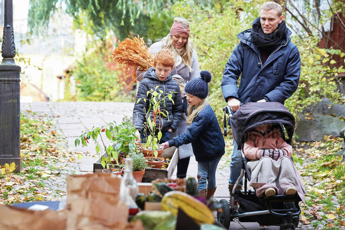 Family arriving at market stall - Stock Photo - Dissolve