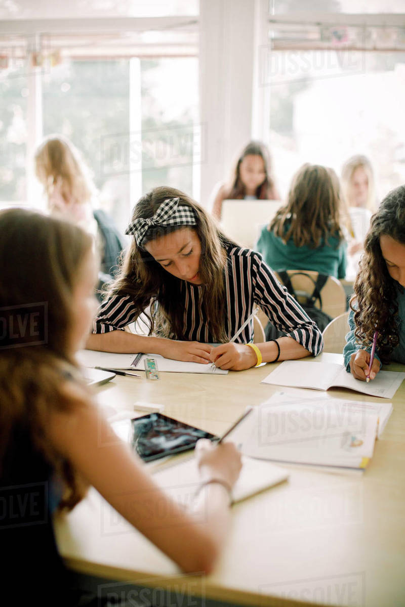 Female students studying in classroom - Stock Photo - Dissolve
