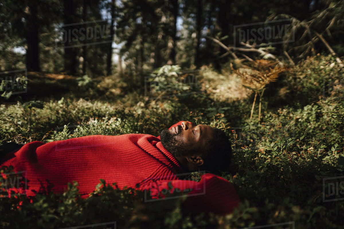 Man sleeping while relaxing on plants in forest - Royalty-free Stock ...