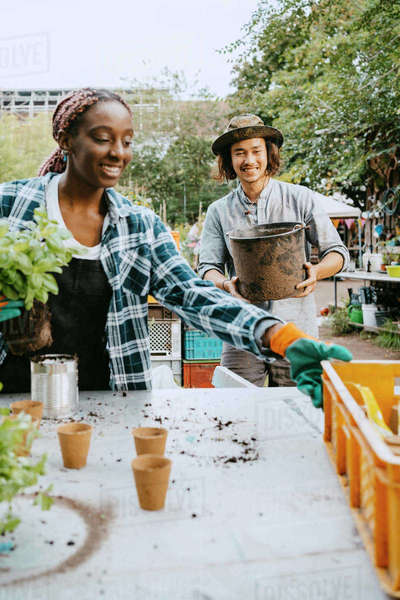 Smiling female volunteer planting while man walking with container in ...