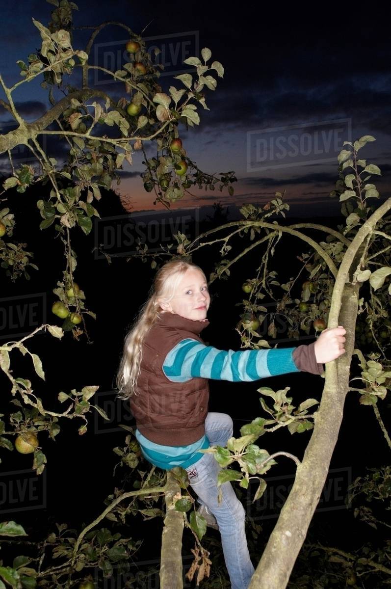Young girl in tree - Royalty-free Stock Photo | Dissolve