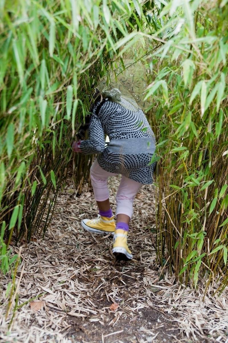 Young girl hiding behind plants - Stock Photo - Dissolve