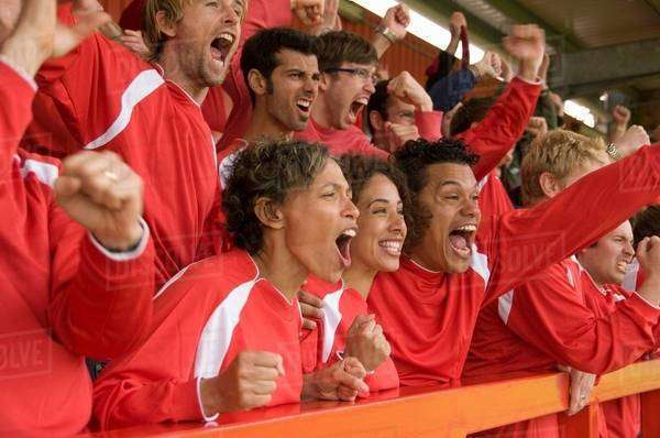 Fans celebrating at football match - Stock Photo - Dissolve