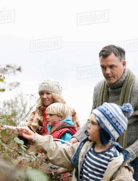 Family picking blackberries - Royalty-free Stock Photo | Dissolve