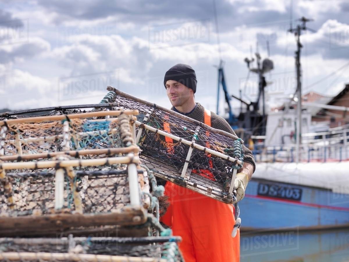 Fisherman loading lobster pots - Stock Photo - Dissolve