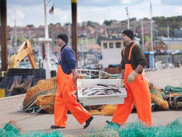 Fishermen with box of fish on harbour - Stock Photo - Dissolve